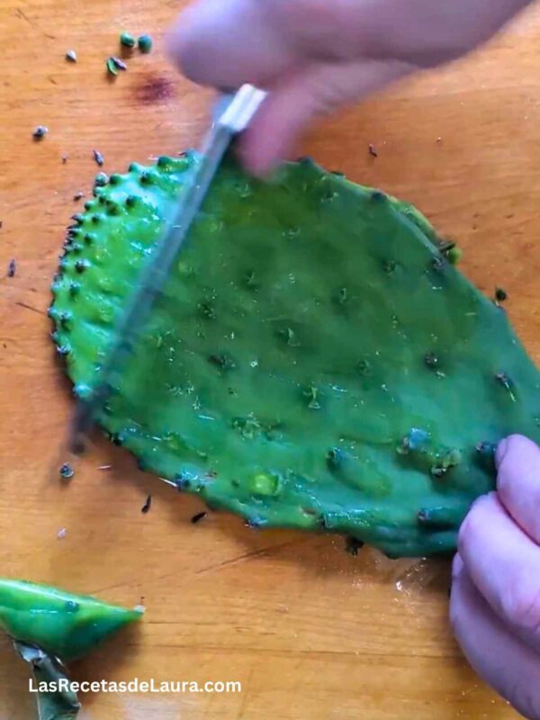Cómo limpiar Nopales y Quitar Espinas ¡Sin Picarte!