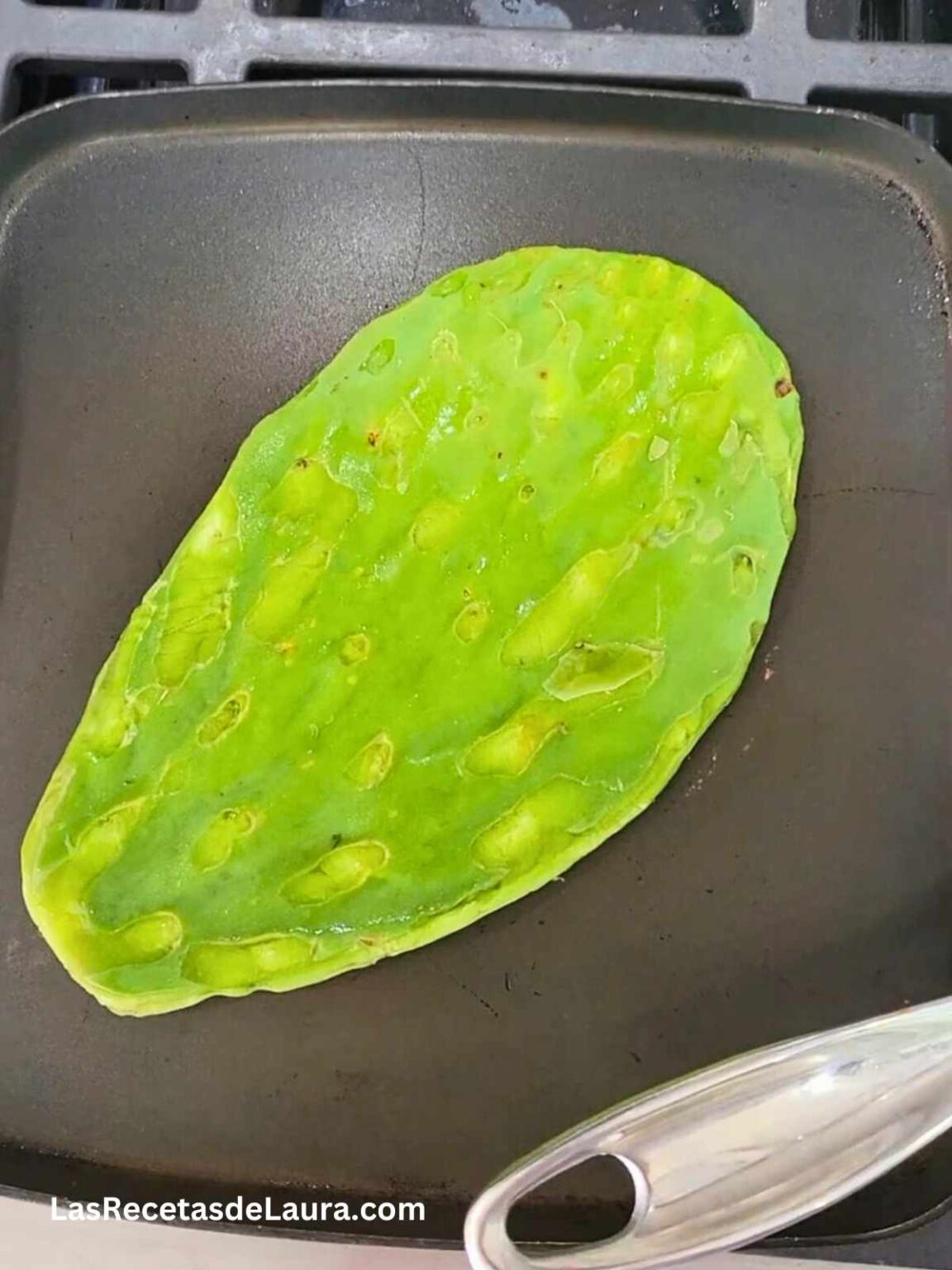 Cómo limpiar Nopales y Quitar Espinas ¡Sin Picarte!